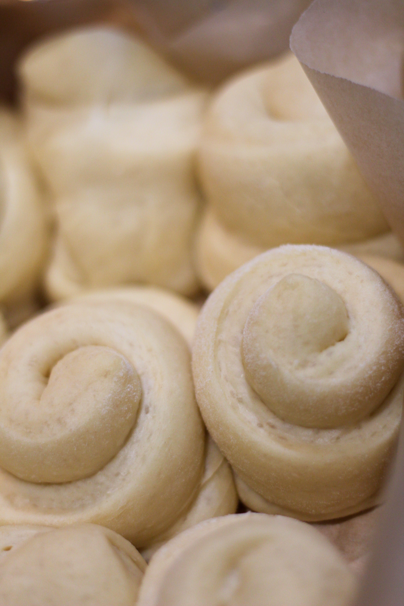 Quick and Fluffy Butter Rolls - Steiger Family Farms